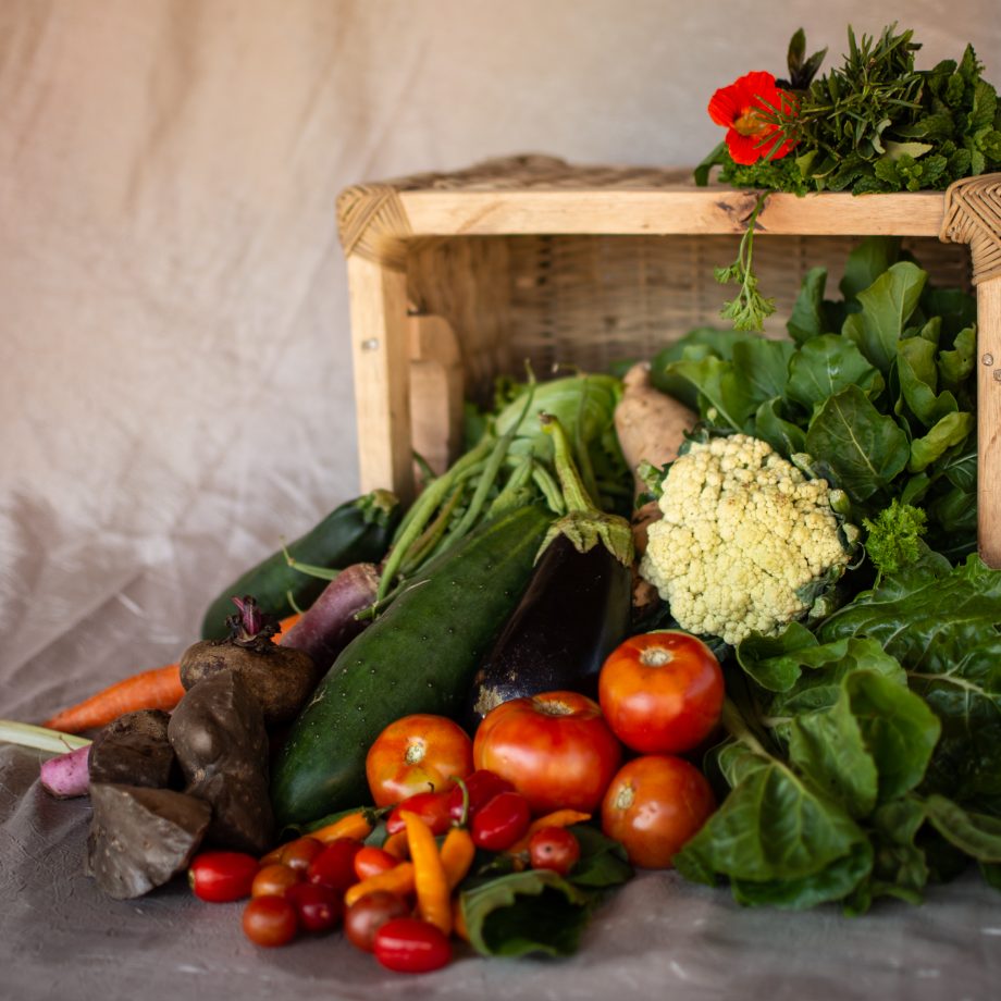 Seasonal Veggie Basket, Basic - Ecolodgy Permaculture Centre